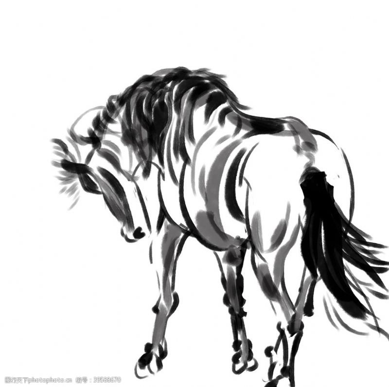 国画马图片免费下载_国画马素材_国画马模板-图行天下素材网