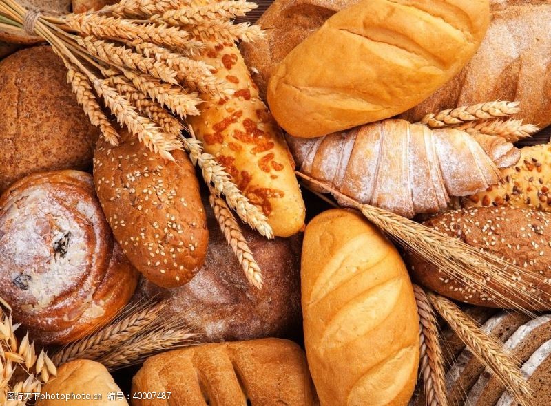 法式图图片免费下载-第7页-图行天下素材网